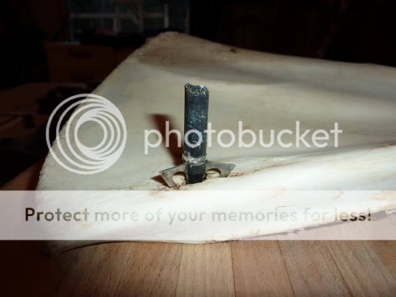 Phathead vs Muzzy MX4 Phantom (Elk heads) | Archery Talk Forum