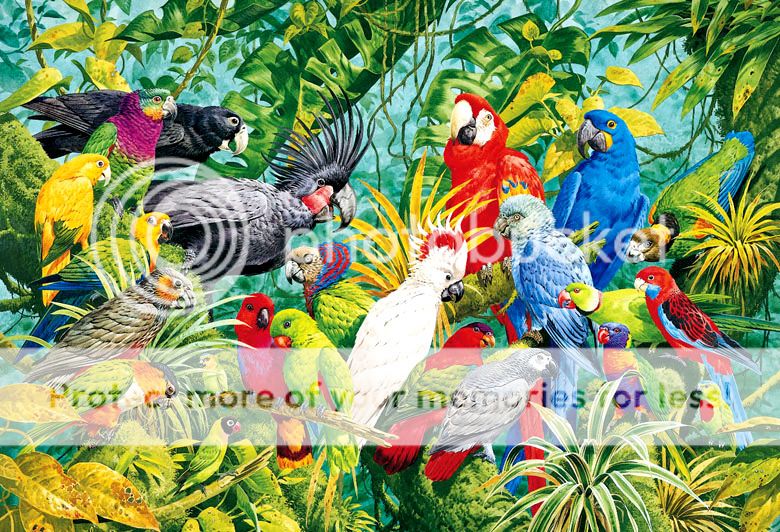 Cool parrot background