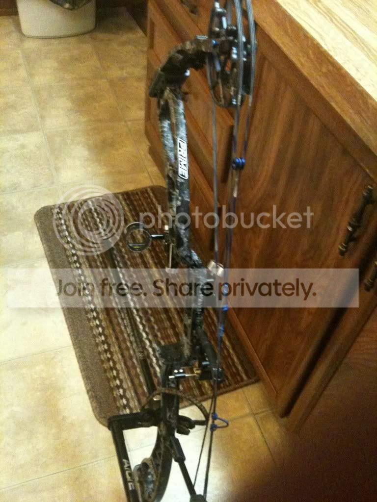 G5 prime centroid | Archery Talk Forum