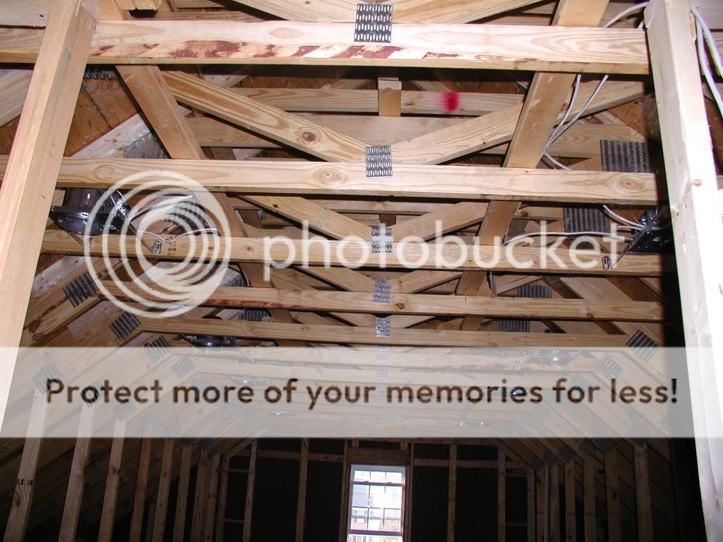 Mastiffs Construction Thread | AVS Forum