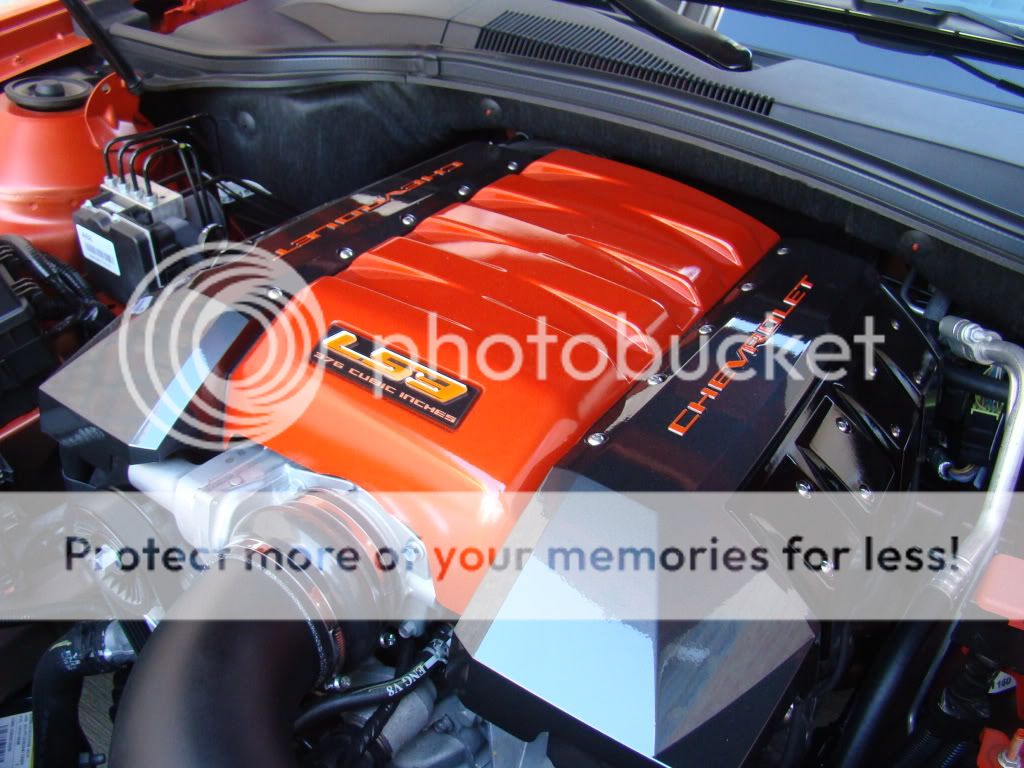 Couple of funny emblems I ran across on Emblempros.com's site - Camaro5 ...