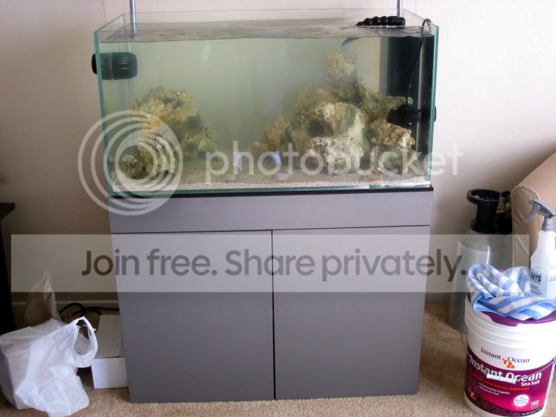 Build Thread - ADA 90P reef build | Reef2Reef