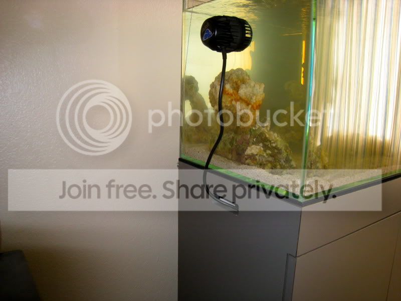 Build Thread - ADA 90P reef build | Reef2Reef