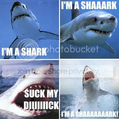FARK.com: (5752619) I'm a shark, I'm a SHAAAARK, take my PIIIIC, I'M A ...