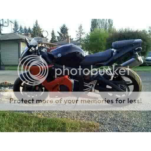 trade my 05 r6 raven for your 1.8t gti jti | VW Vortex - Volkswagen Forum