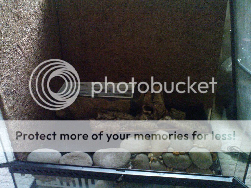 false bottom construction for frog tank. and exo terra tank ...